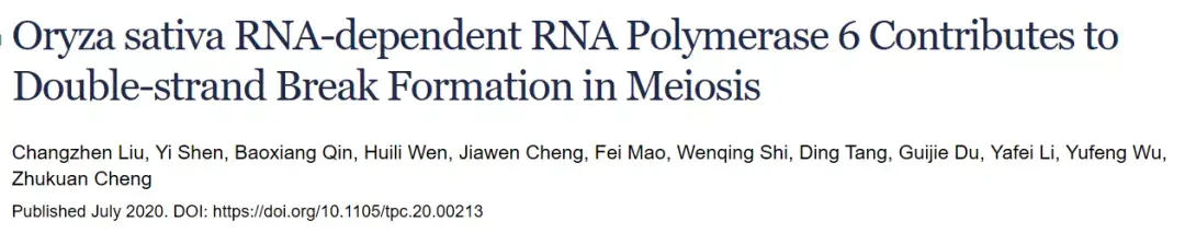 Plant Cell | 中科院遗传发育所程祝宽研究组发现RDR6调控减数分裂DNA双链断裂的形成 - 知乎