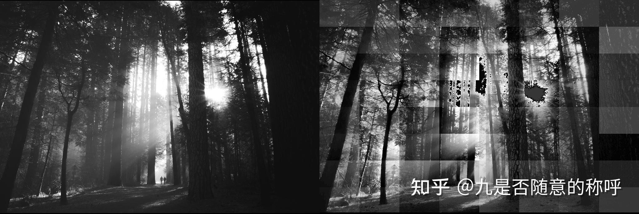 Opencv Algorithm:based On Python And C,限制对比度的自适应直方图均衡化clahe 知乎