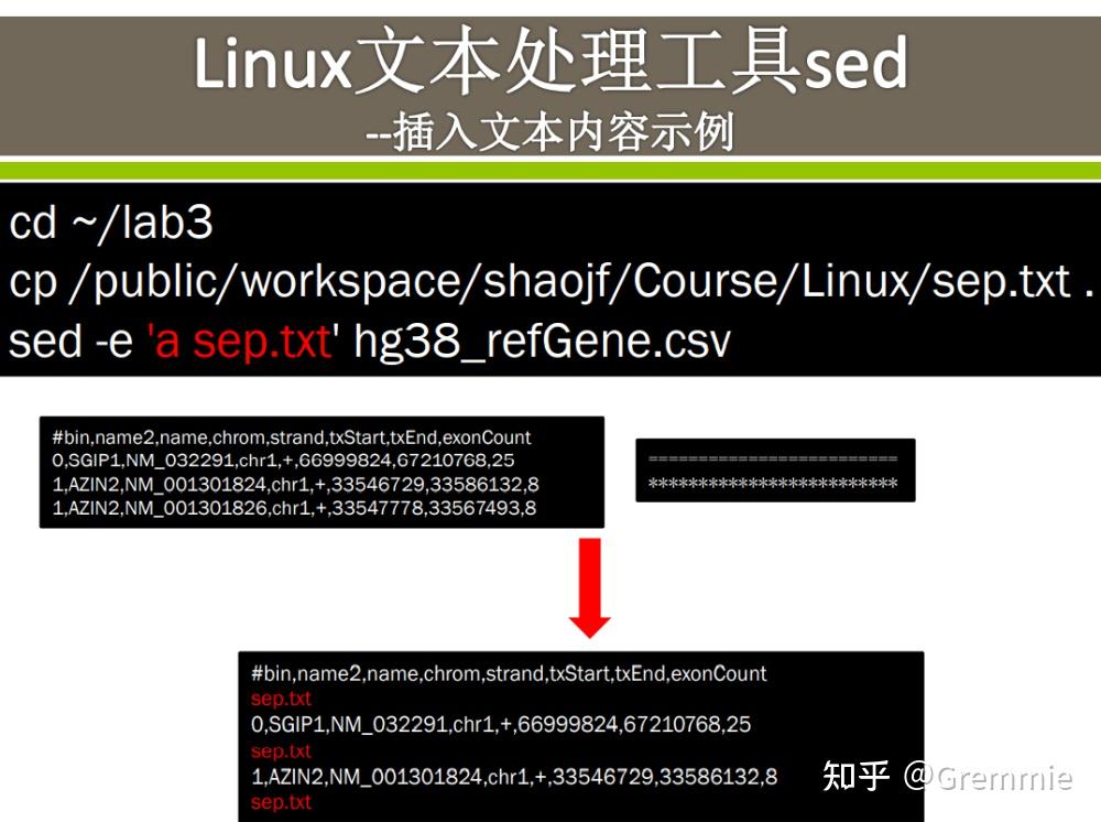 Linux文本处理工具(awk,sed,grep等) - 知乎