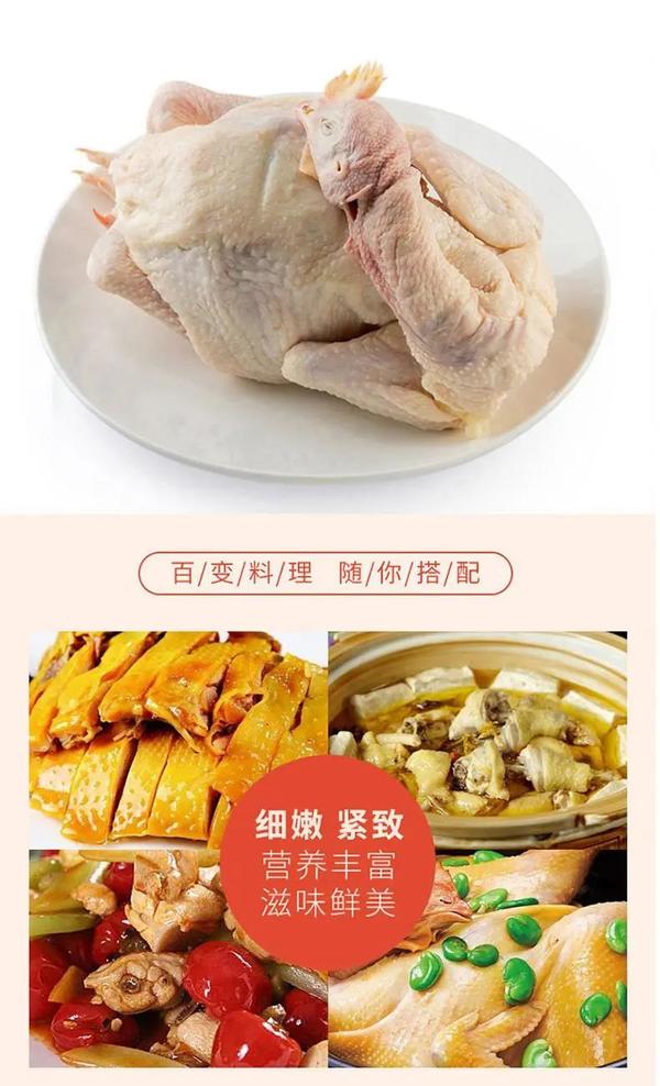 【年前特惠】樱桃谷鸭136元4只包邮送到家！限时加赠童子鸡2只！ - 知乎