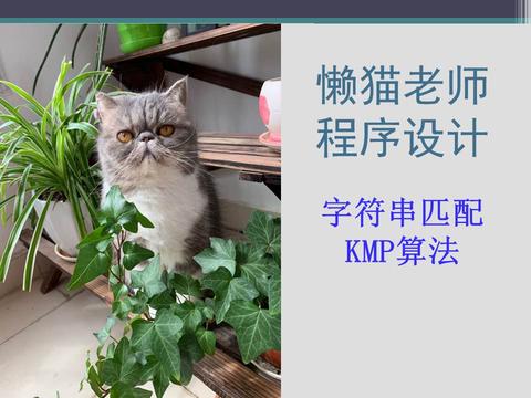 懒猫老师-数据结构-(15)KMP算法2-next数组(PPT文稿) - 知乎