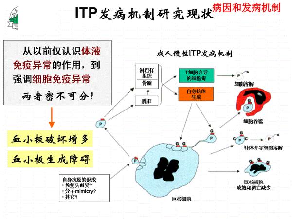 谈谈血小板减少性紫癜,这个病不可怕 知乎