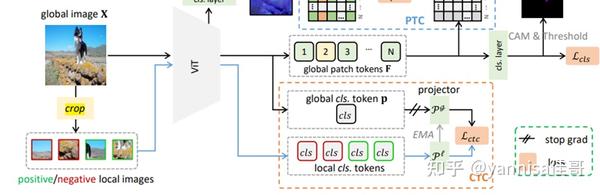 Token Contrast for Weakly-Supervised Semantic Segmentation —— CVPR2023 - 知乎
