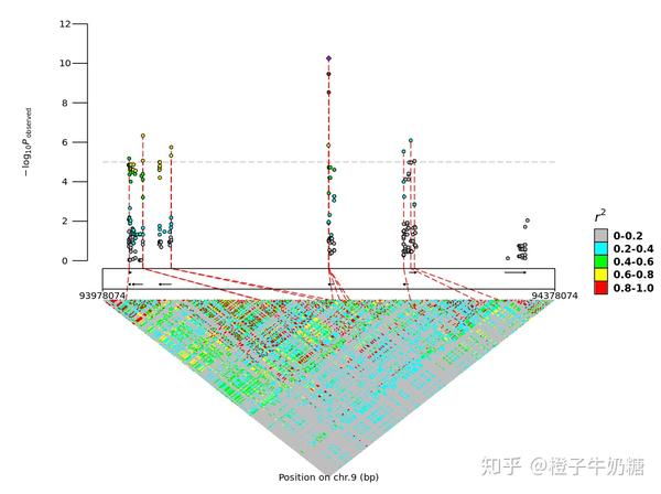 一个R包(IntAssoPlot)，LocusZoom图、连锁不平衡图和基因结构图一步到位 - 知乎