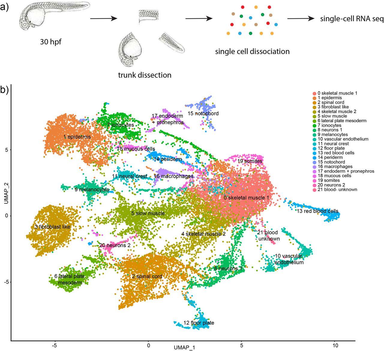 单细胞测序系列之三：单细胞转录组测序 - 知乎