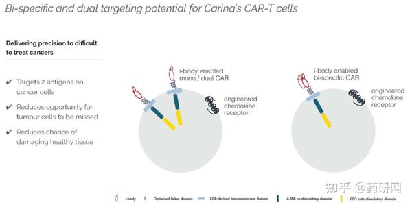 肿瘤干细胞标志物：LGR5 - 知乎