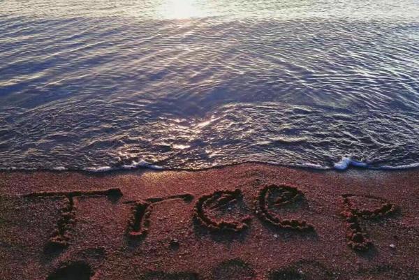 什么是Treep?——来自一位休学创业的CEO的自白 - 知乎