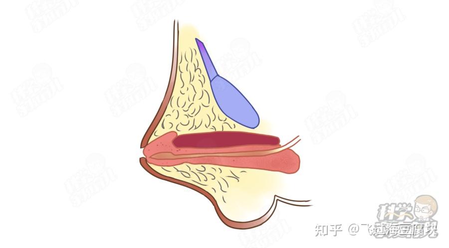 男娃小jj多大才正常?小于这个数,速就医!重可影响生育! 知乎