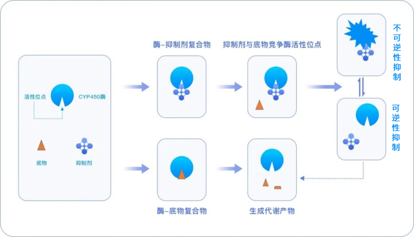 体外评估时间依赖性抑制TDI的新方法：AUC Shift法 - 知乎