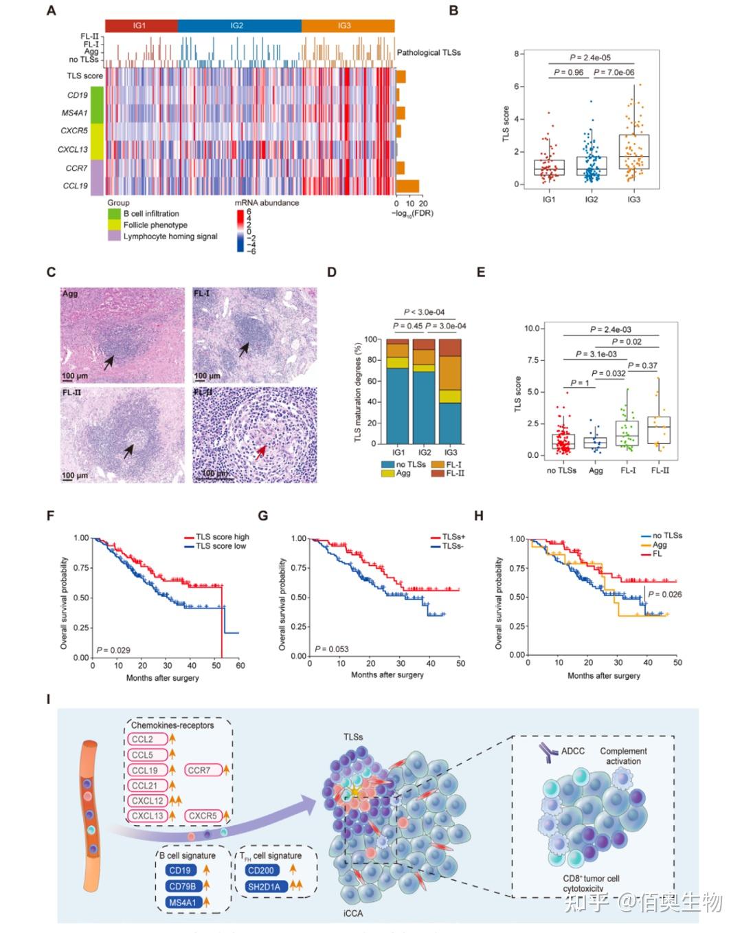 利用多组学数据结合亚型鉴定轻松发12分+SCI - 知乎