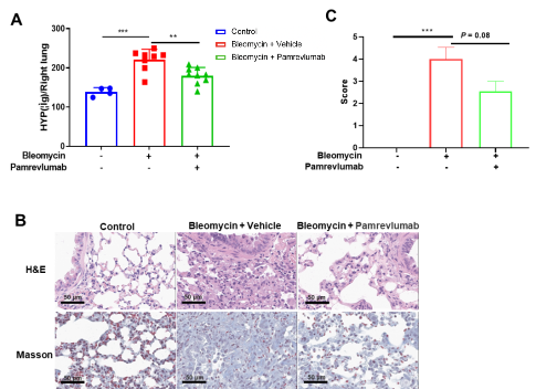 肝纤维化和肺纤维化小鼠模型 - 知乎