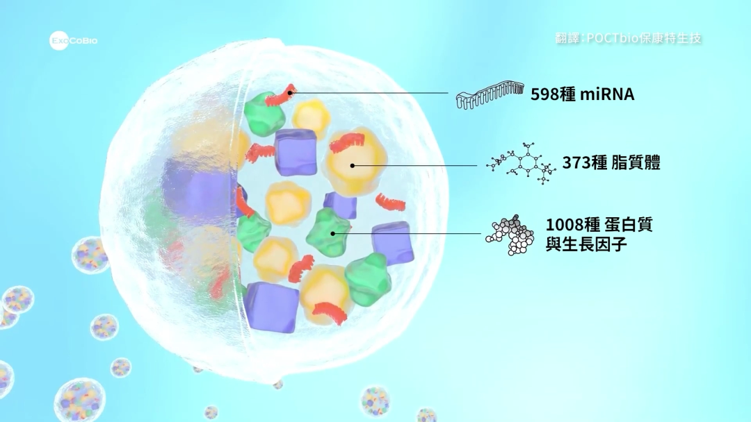 3分钟带你看懂什么是外泌体 - 知乎