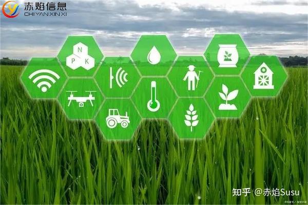 认养农业小程序开发，土鸡认养小程序有哪些优势呢？ 知乎