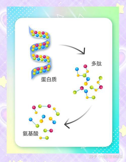 多肽合成，IGF-II (69-84)， Asp-Val-Ser-Thr-Pro-Pro-Thr-Val-Leu-Pro-Asp-Asn ...