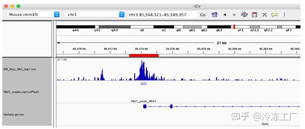 ChIP-seq 分析：基因集富集（11） - 知乎