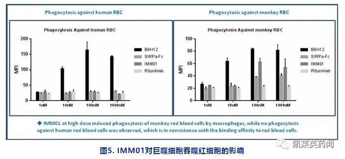 “别吃我”信号CD47：宜明昂科潜在“Best-in-class”靶向CD47融合蛋白IMM01两项II期临床已完成患者入组 - 知乎