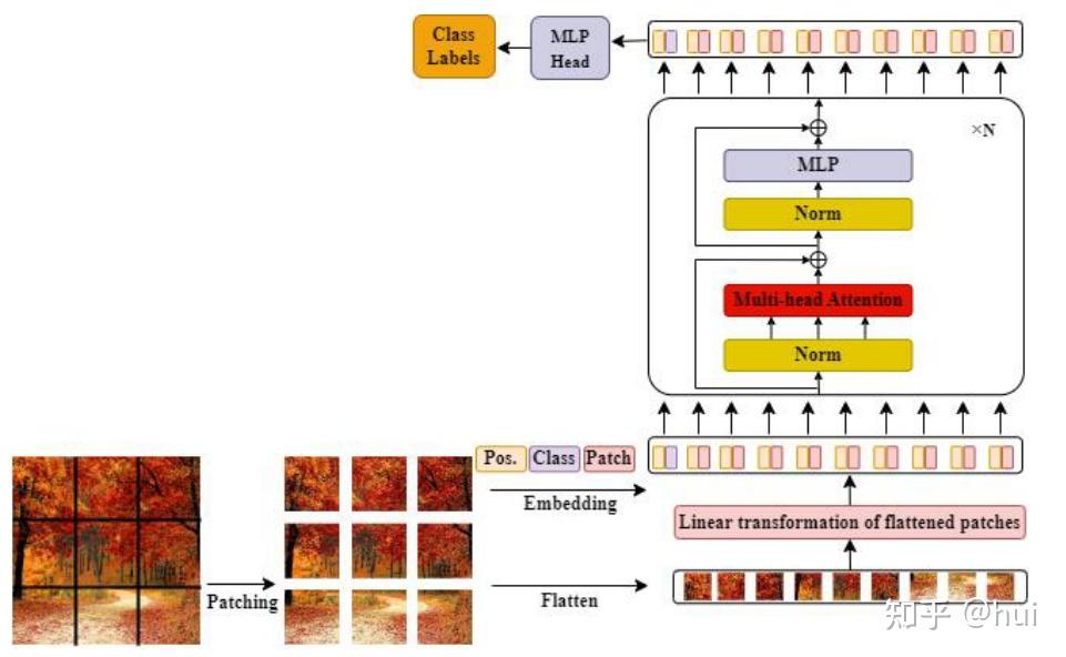 《A survey of the Vision Transformers and its CNN-Transformer based Variants》第一期 - 知乎