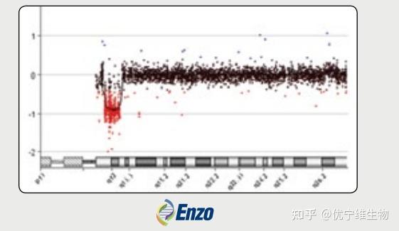 遗传学检测方法：荧光原位杂交（FISH）vs 微整列比较基因组杂交（aCGH） - 知乎