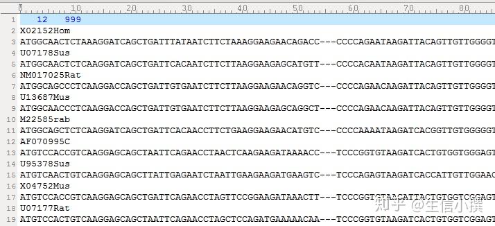 【比较基因组】如何利用paml计算kaks - 知乎