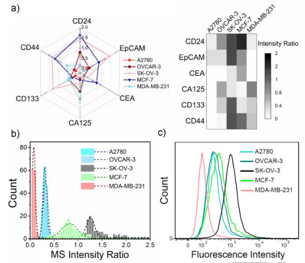 单细胞代谢实现肿瘤细胞化疗耐药异质性研究 - 知乎