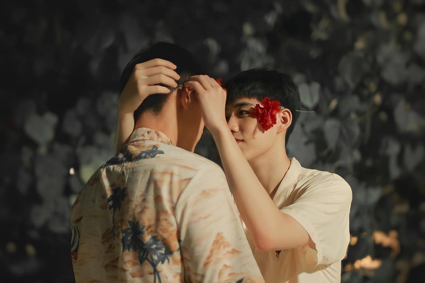 个人收藏向BKPP壁纸图片 - 知乎