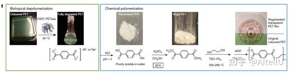 Nature | 机器学习辅助PET解聚水解酶设计 - 知乎