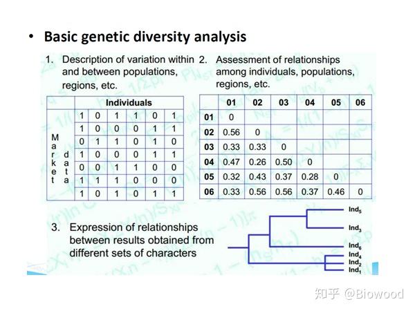 群体遗传结构构建软件--Plink, admixture, phylip, MEGA总结 - 知乎