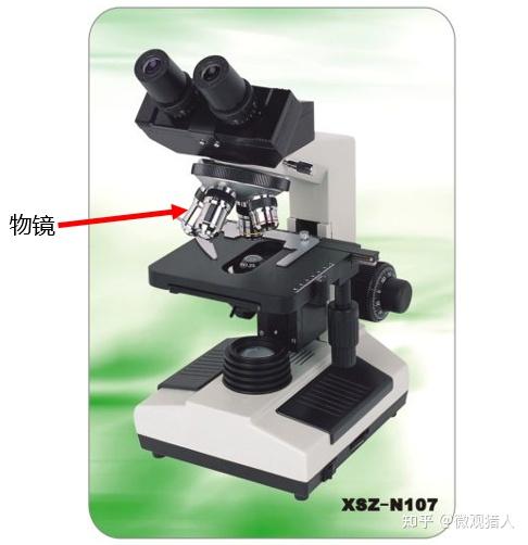 显微基础丨②认识显微镜及选购建议 - 知乎