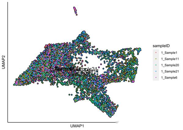 SingCellaR代码实操（三）：多样本单细胞数据整合上游分析 - 知乎