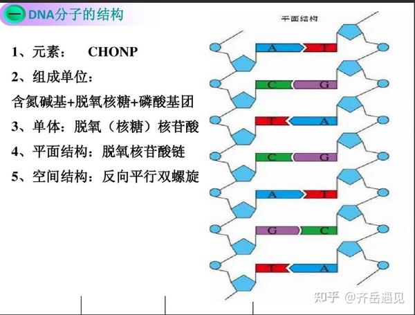近红外荧光染料标记DNA|羧甲基荧光素6-FAM修饰DNA|6-FAM/6-DNA - 知乎