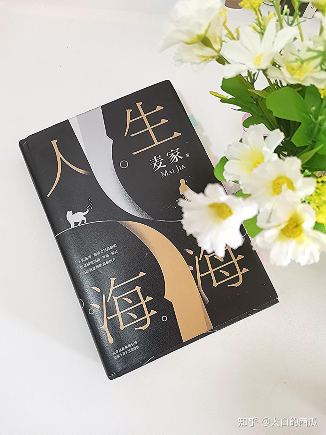 《人生海海》:麦家故事里的英雄与童年 知乎