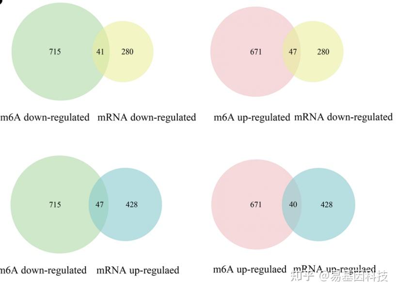 易基因｜m6A RNA甲基化研究的数据挖掘思路：干货系列 - 知乎