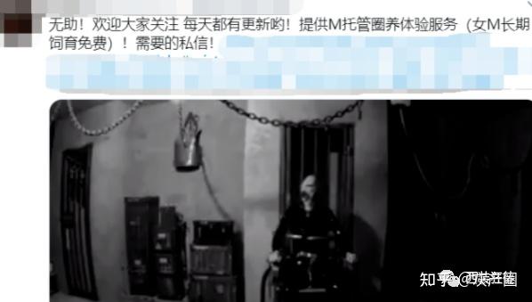 圈养女性的「托奴所」终于垮了 知乎