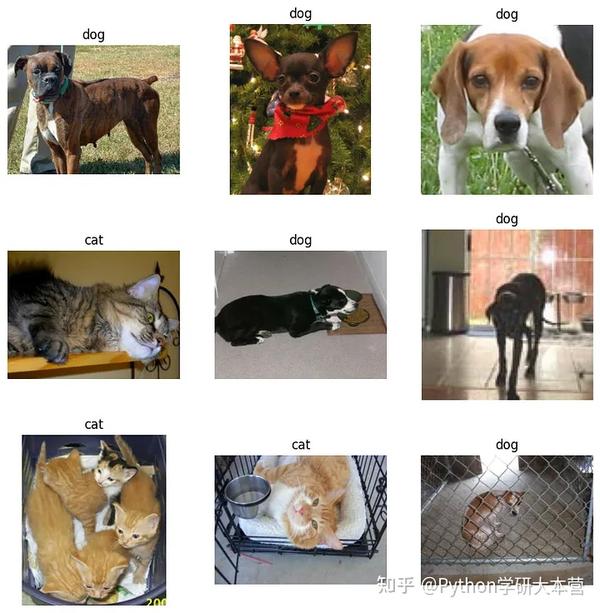 使用TensorFlow和Keras创建猫狗图片深度学习分类器 - 知乎