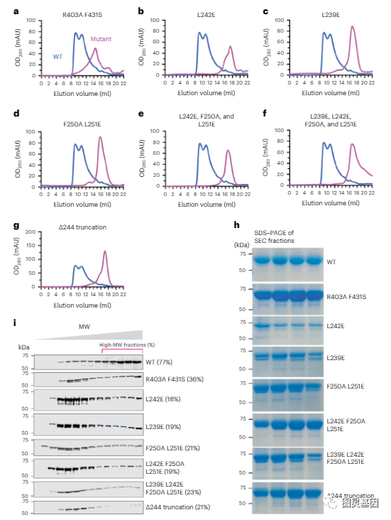 Nat Str Mol Bio | Scripps研究所揭示线粒体中衰老相关疾病的靶点 - 知乎