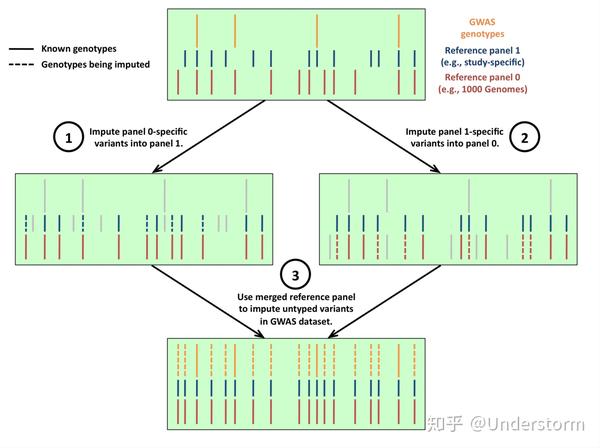 基因型填充(Genotype-Imputation)：从原理到操作 - 知乎