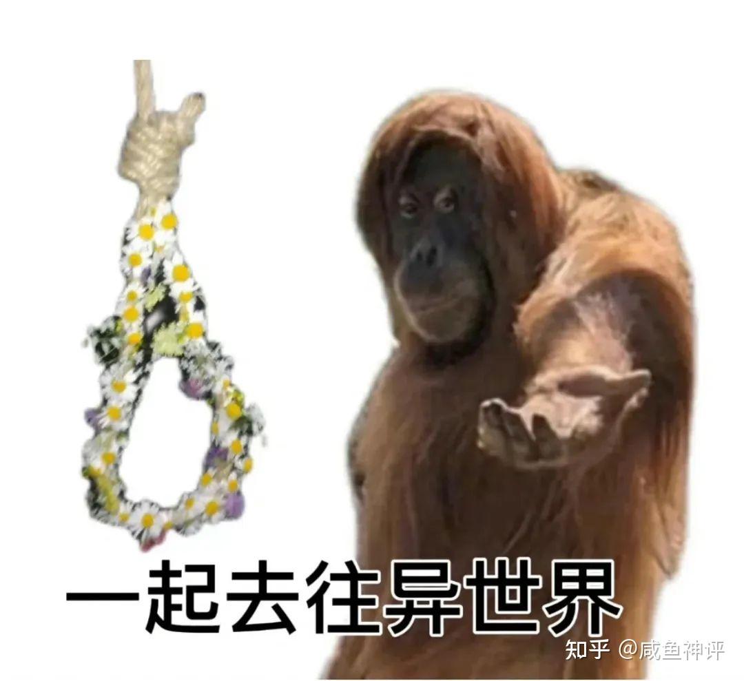 发点上班用的猴子表情包 - 知乎