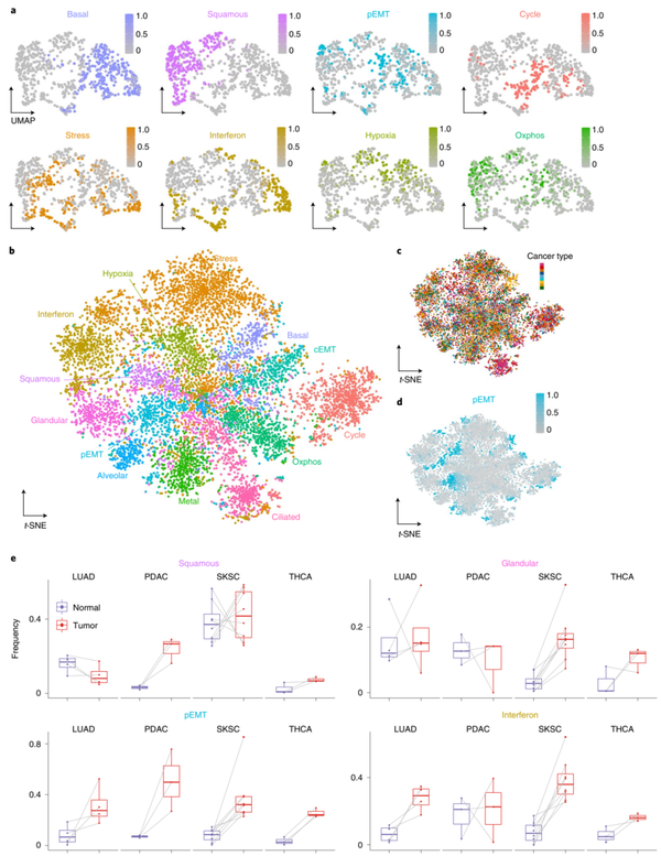 Nature Genetics | 不同肿瘤中癌细胞状态的复发及其与肿瘤微环境的相互作用 - 知乎