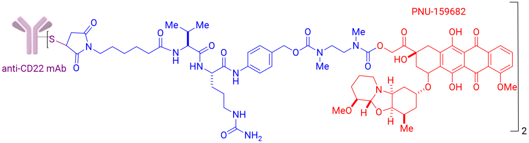 ADC有效载荷（Payload）的发展及其药代动力学考量 - 知乎