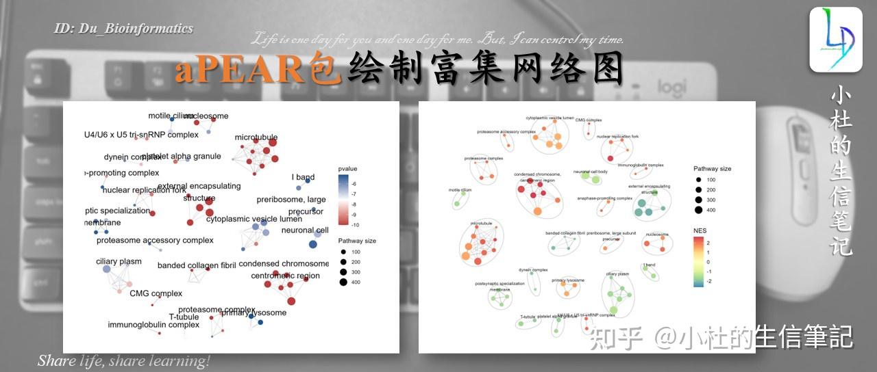 aPEAR包绘制功能富集网络图 - 知乎