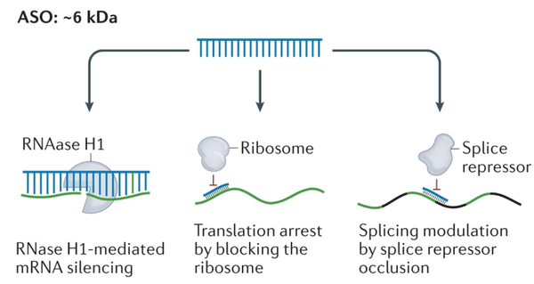 Nat. Rev. Genet. | Drug delivery systems for RNA therapeutics - 知乎