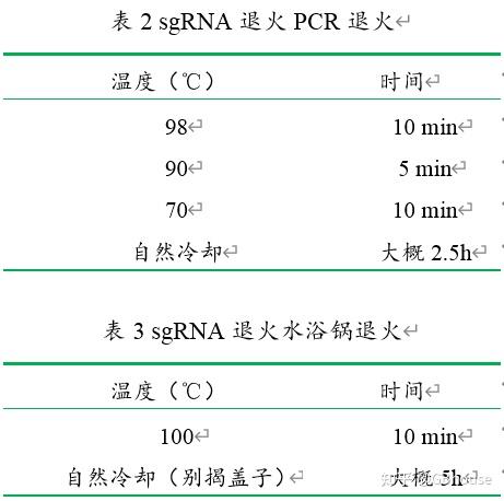 sgRNA实现细胞KO从引物设计到阳性细胞筛选-保证实用 - 知乎