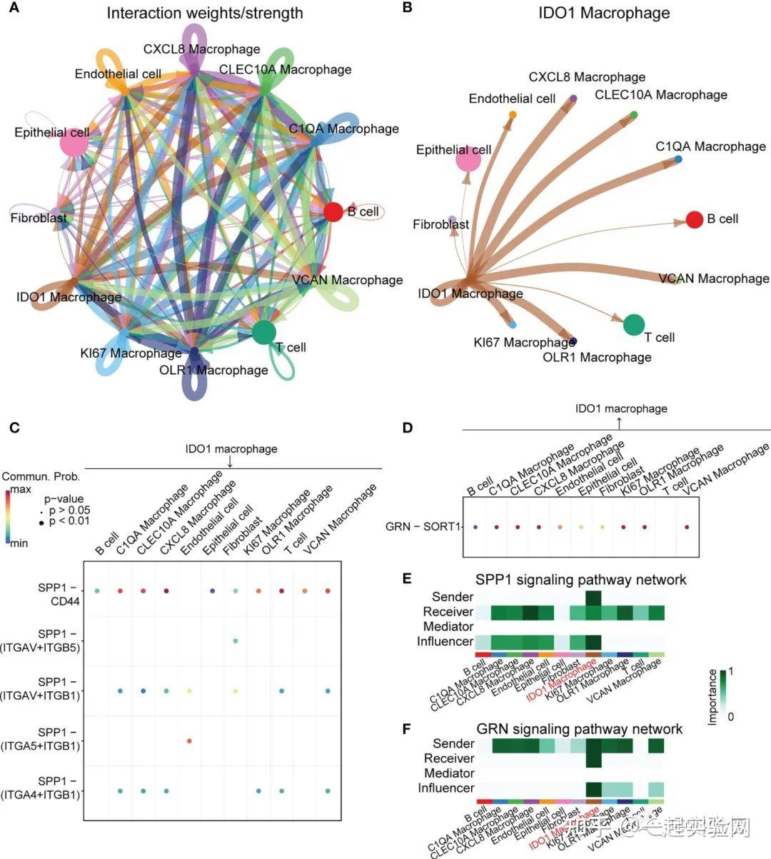 8+单细胞+结直肠癌 - 知乎