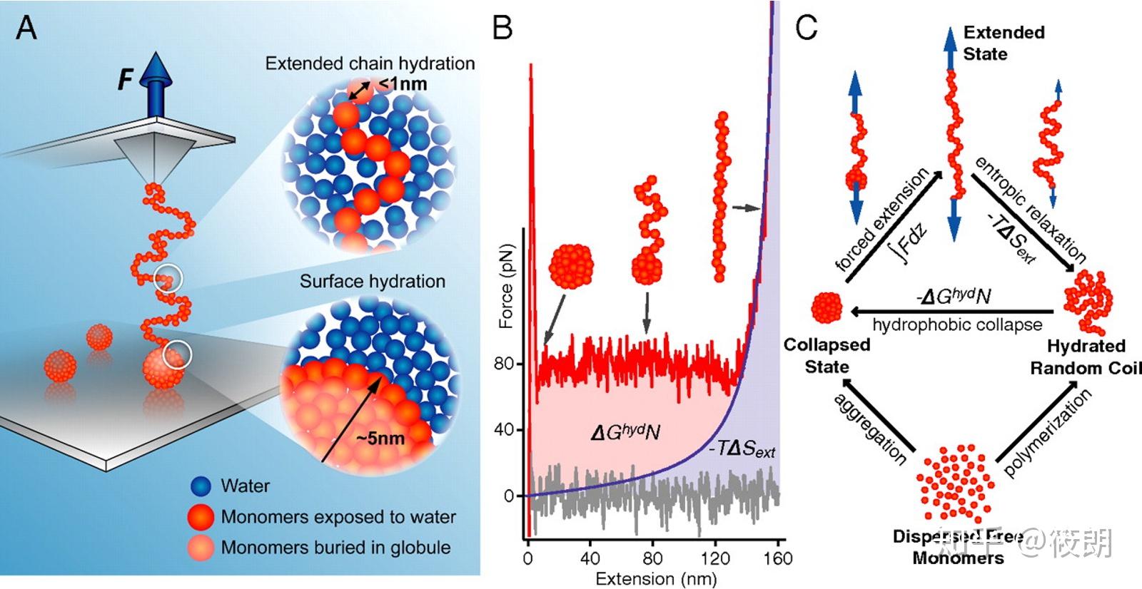 AFM观测聚合物单分子链的技巧 - 知乎