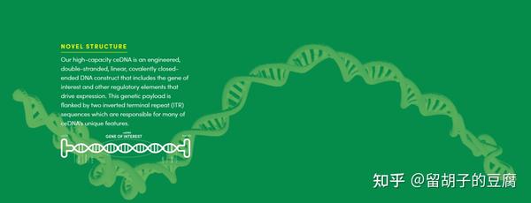 Moderna与Generation Bio携手，共同开发靶向性核酸药物 - 知乎