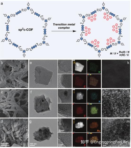 《Advanced science》：应对耐药致病菌新思路：诱导细菌铁死亡！ - 知乎