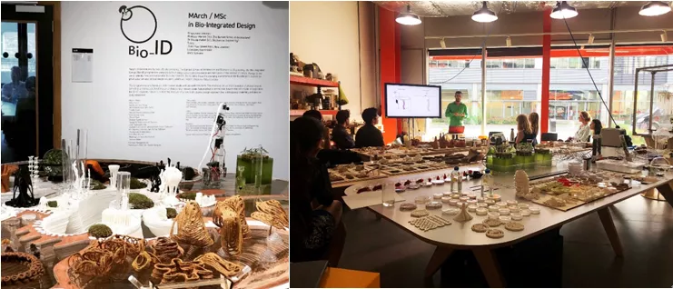 设计物语丨UCL Bartlett建筑新专业Bio-ID到底在学什么？ - 知乎