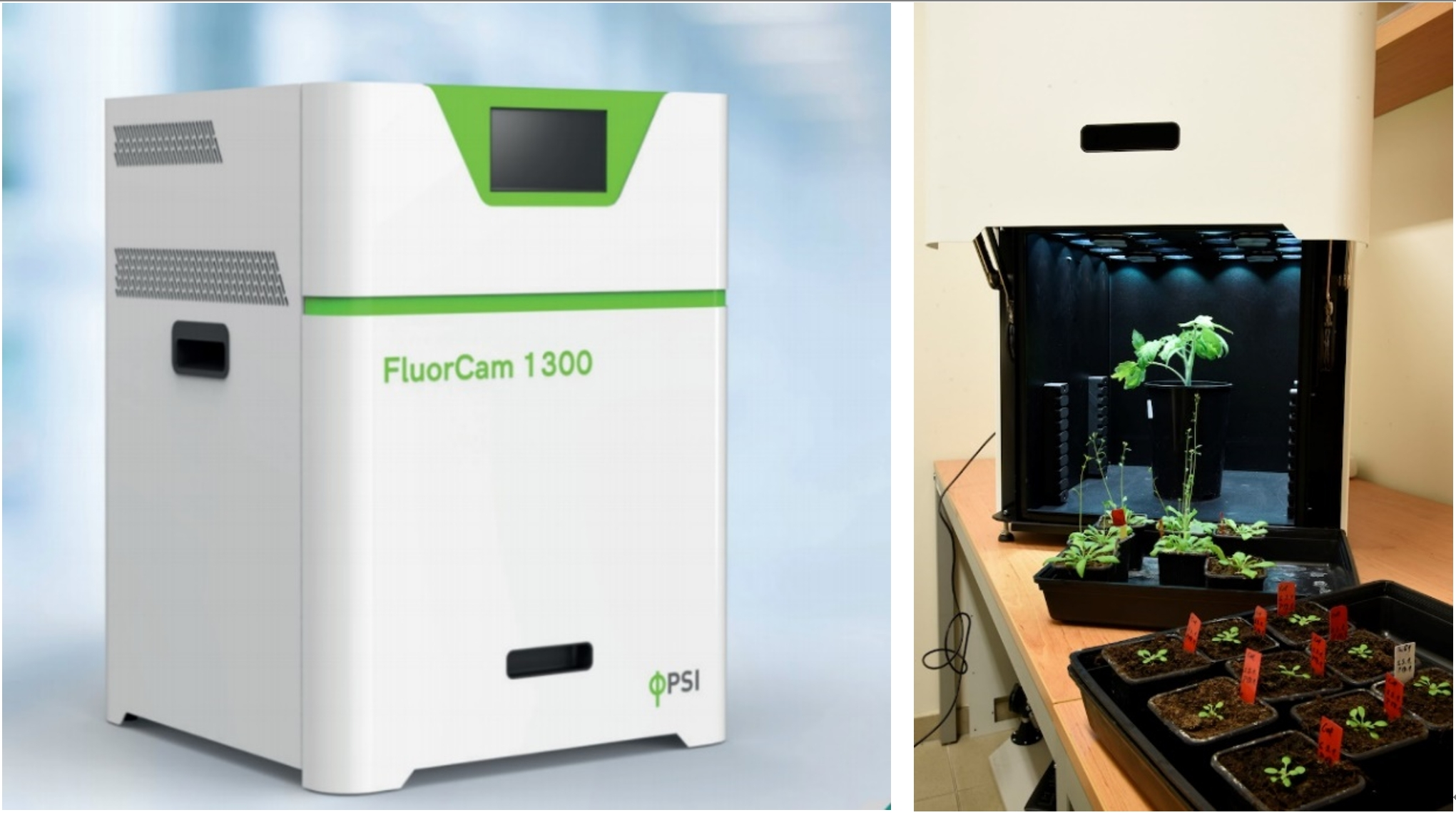 一文看懂如何选配适用的叶绿素荧光成像仪器 - 知乎