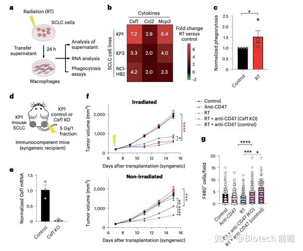 辉瑞CD47-SIRPα融合蛋白获批临床，“别吃我”靶点能否逆袭 - 知乎