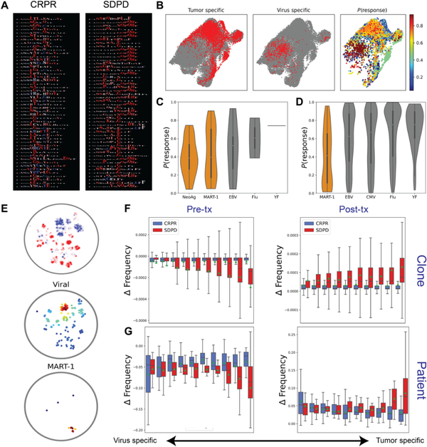 Sci Adv | 深度学习预测TCR序列对免疫疗法反应 - 知乎